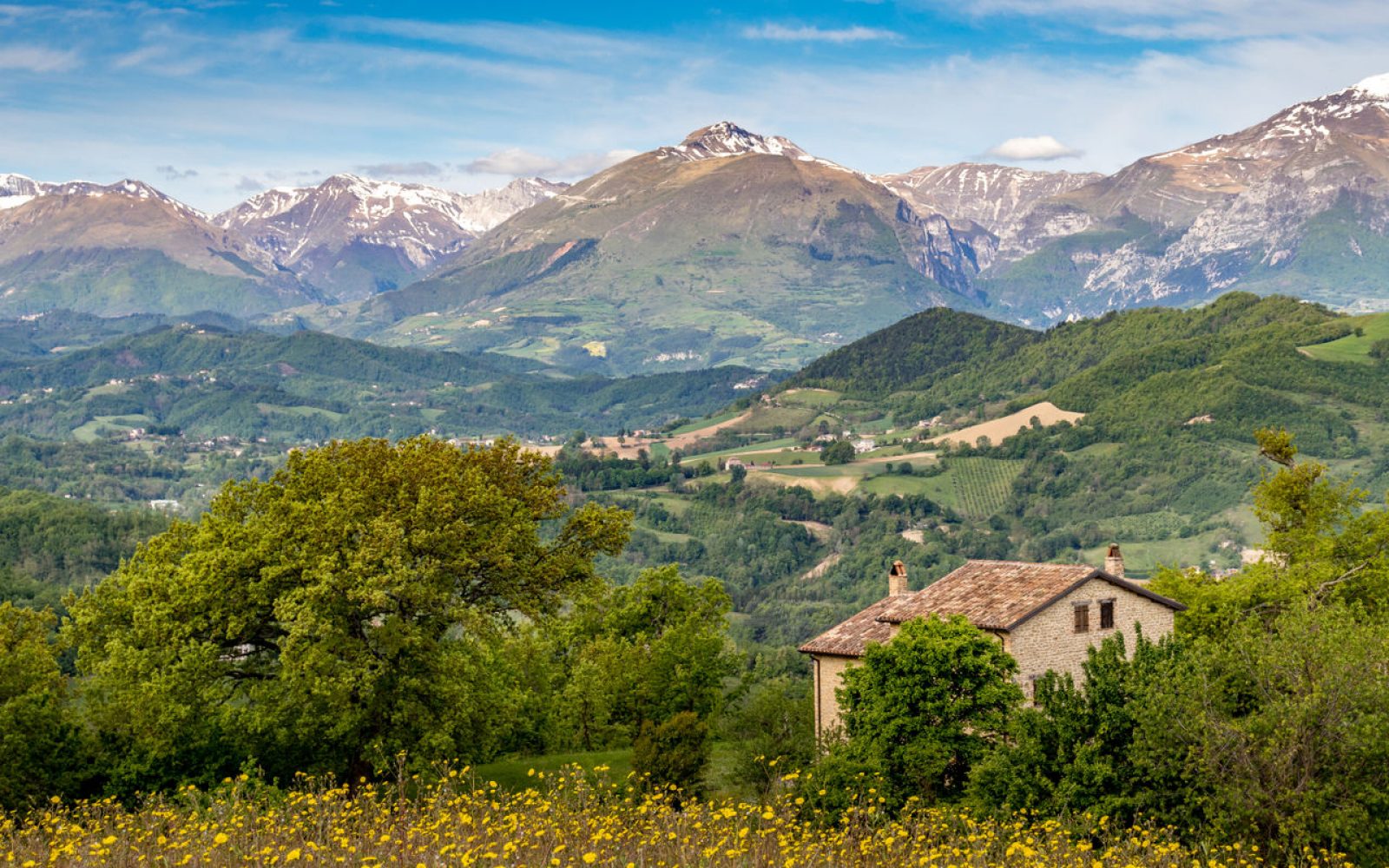 Food and wine itinerary in Marche - Italia.it