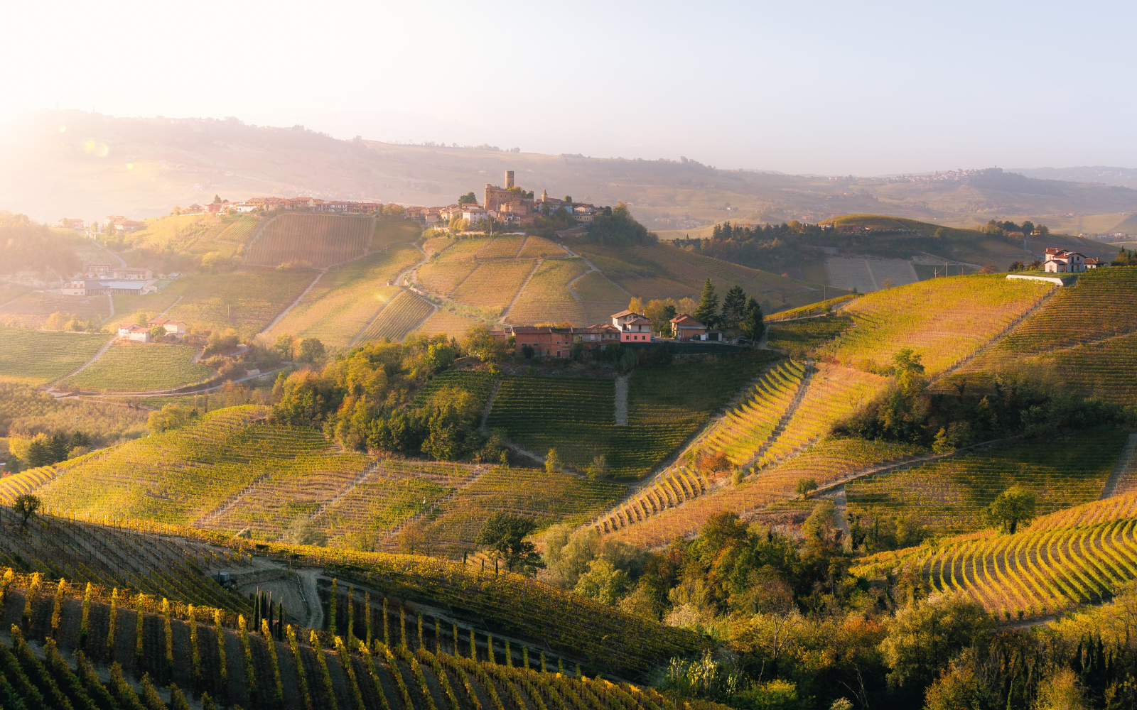 Itinerario en las Langhe para descubrir el «barolo» - Italia.it