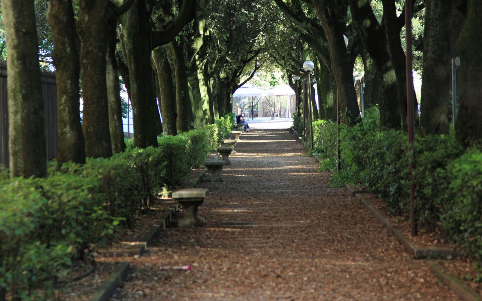Terzo Paradiso ad Assisi - Bosco di San Francesco - Italia.it