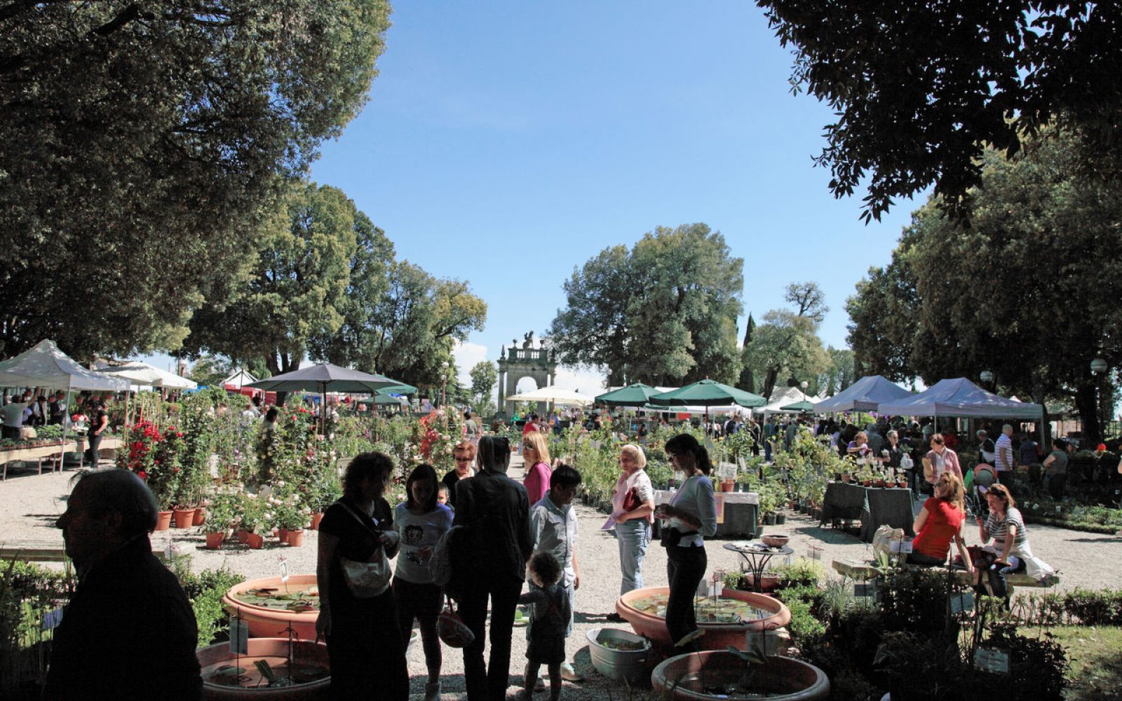 Terzo Paradiso ad Assisi - Bosco di San Francesco - Italia.it