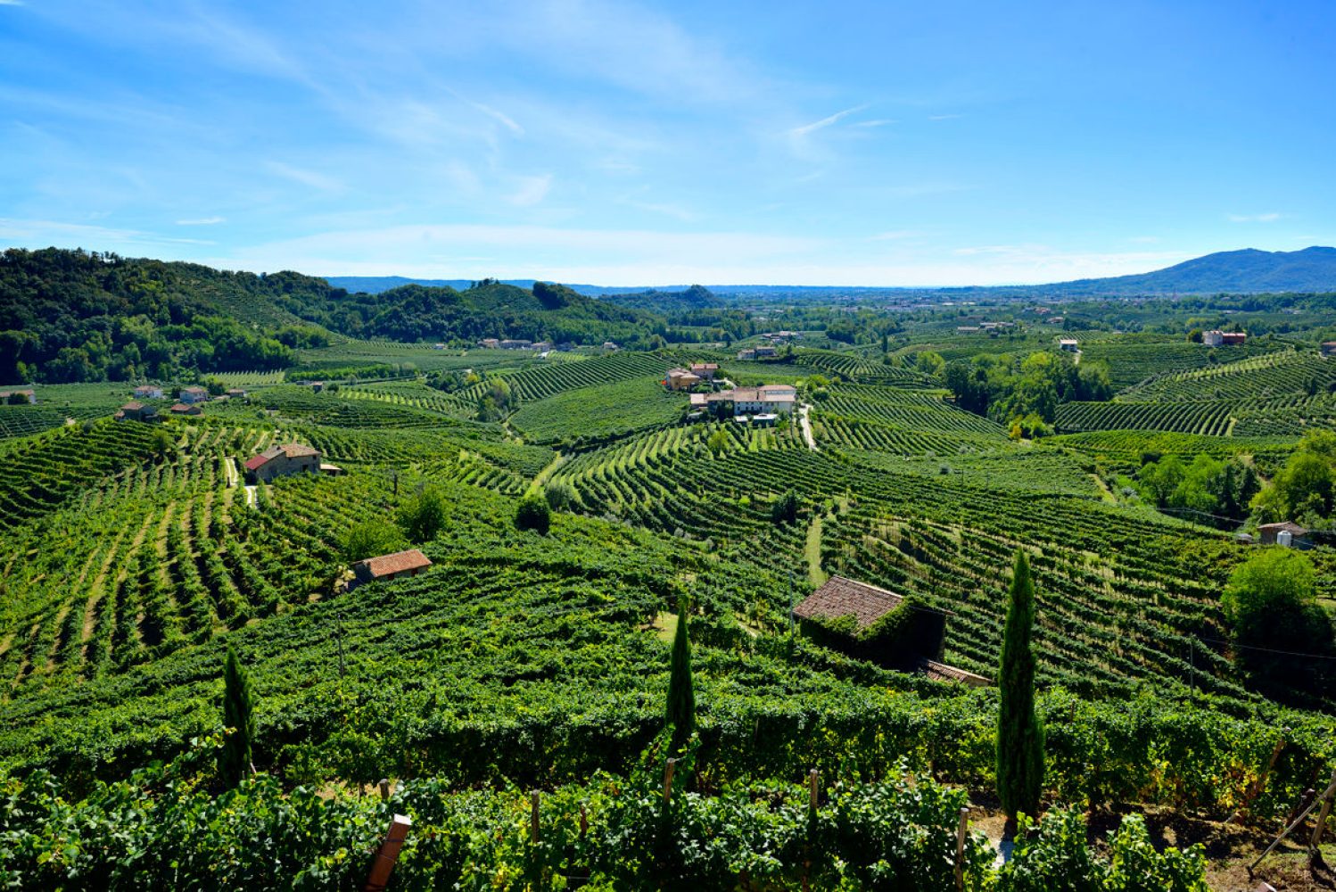 Le Colline del Prosecco: borghi, cucina e vigne - Italia.it