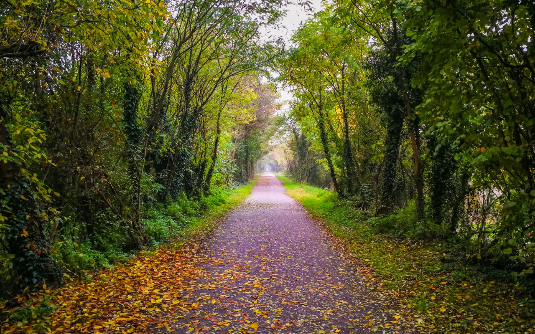 In bici: Anello del Veneto, Venezia-Treviso - Italia.it